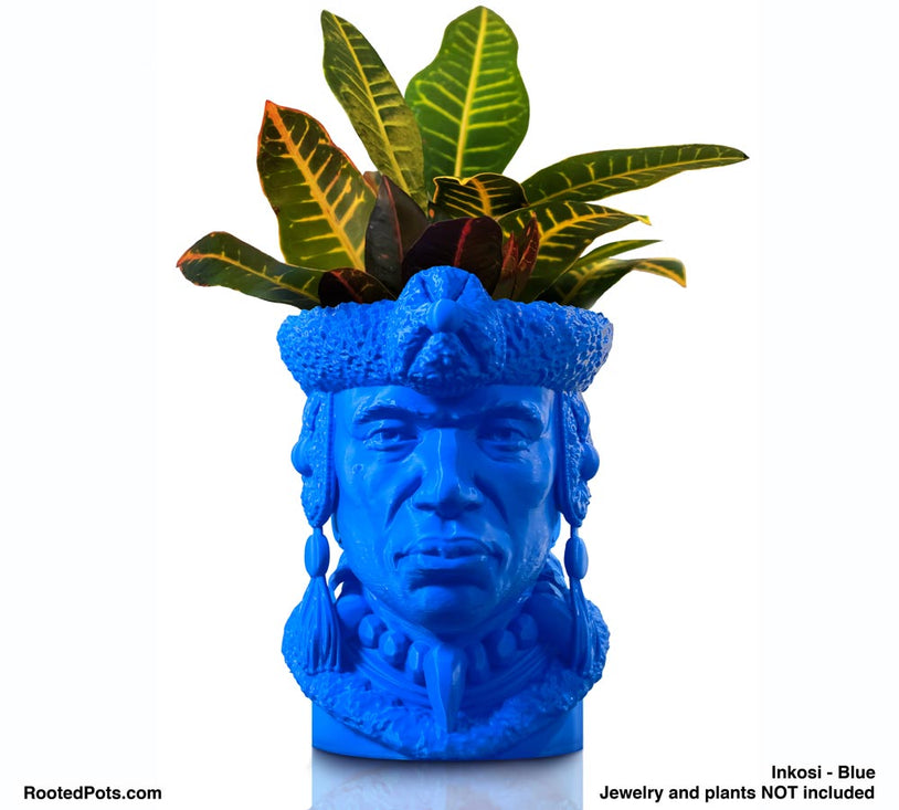 Inkosi – Rooted Pots
