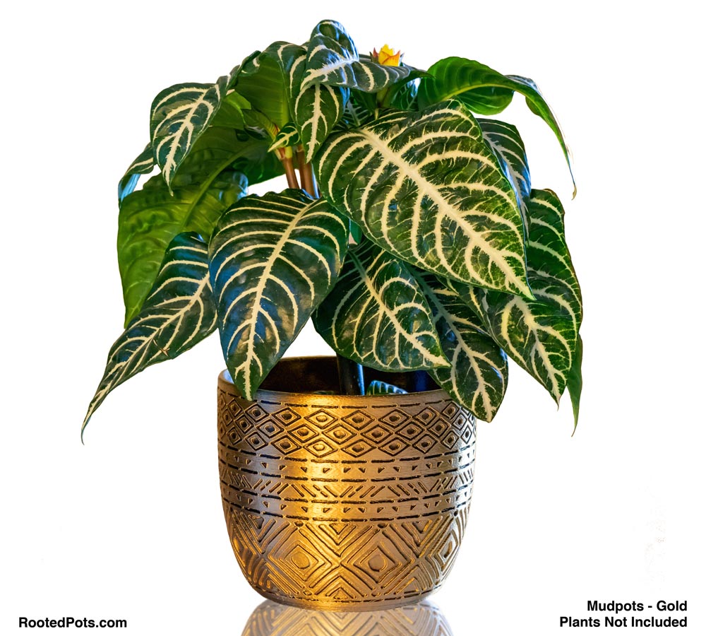 MudPots Triple Set – Rooted Pots